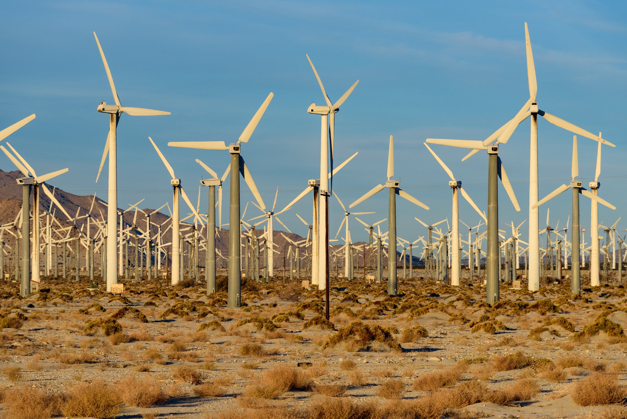 「世界にまるごと投資」 eMAXIS Slimの“オルカン”がついに2倍化達成！ 人気の理由を解説(2/2) | Finasee（フィナシー）